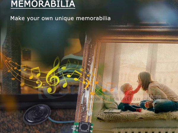 ICStation 8M Recordable Sound Play Module With USB Data Cable | DIY ...